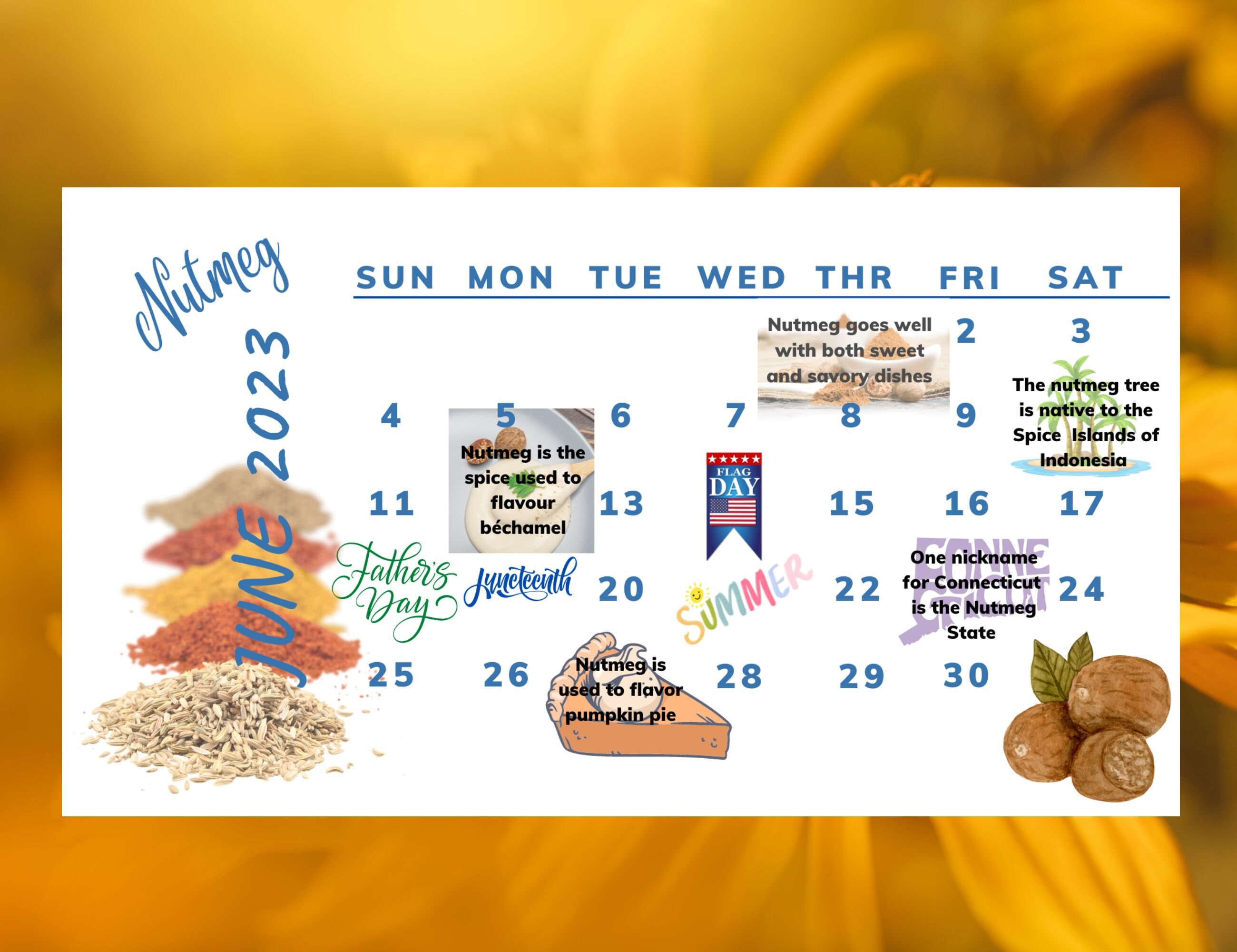 2023 Printable Calendar, 2023 Spice Printable Calendar, Printable ...