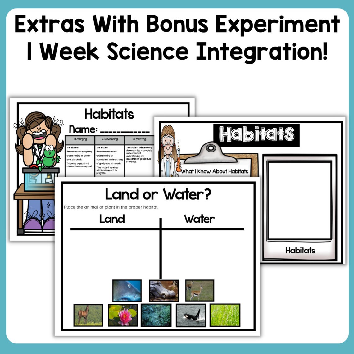 Habitats Biomes 2nd Grade Science Reading Comprehension Passages and ...