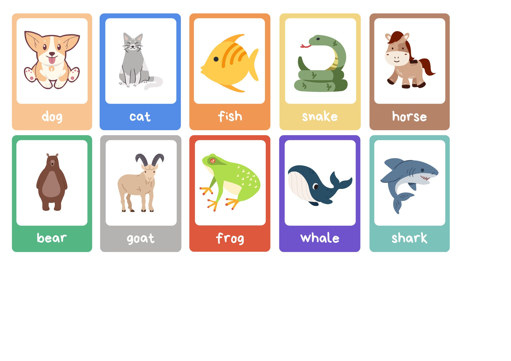 20 Animal Flashcards School Learning Activity Lesson Homeschool Family ...