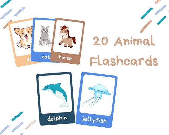 20 Animal Flashcards School Learning Activity Lesson - Etsy