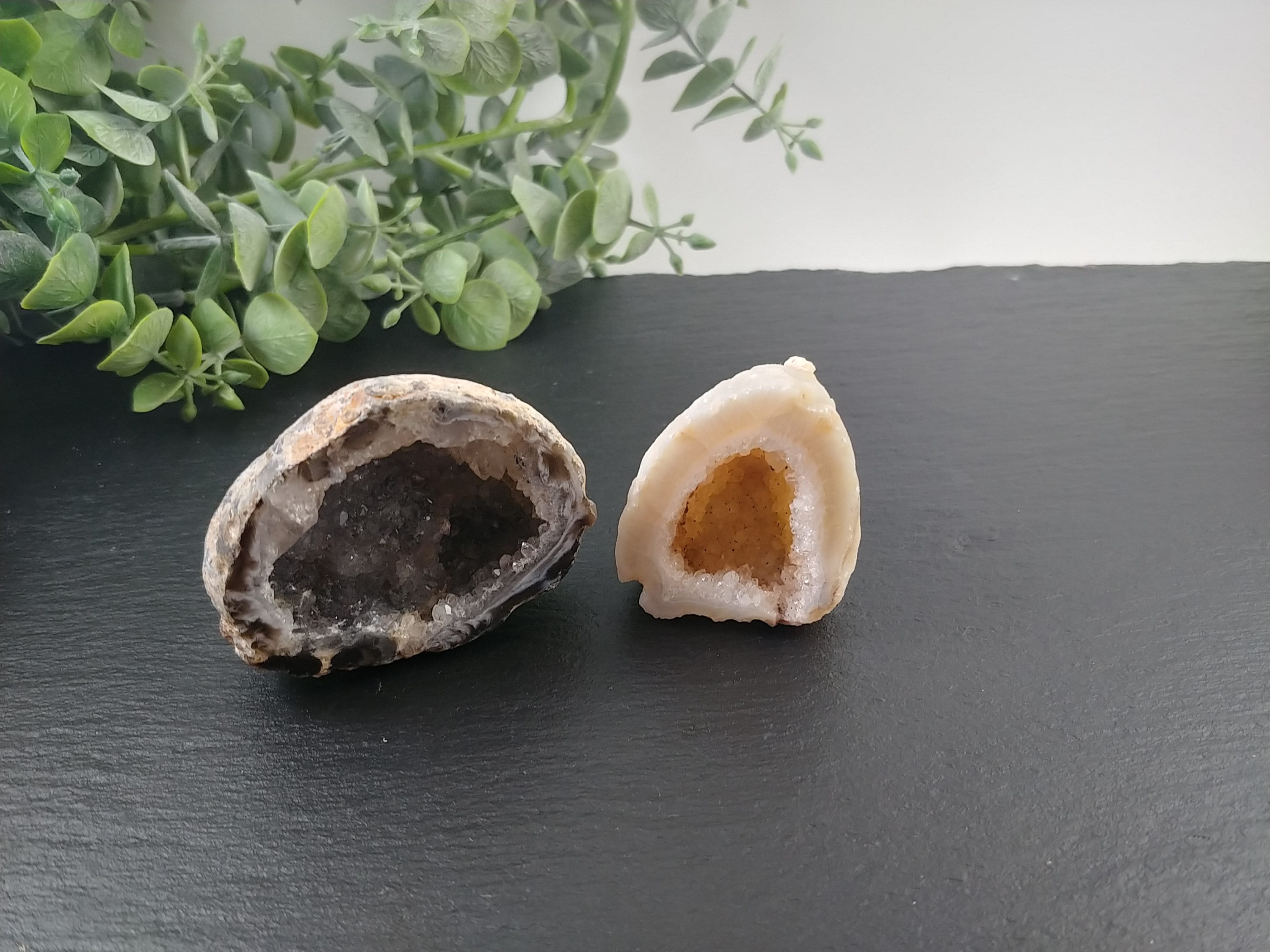 Small Polished Split Agate Geode Specimen Halves 2-3" - Etsy Canada