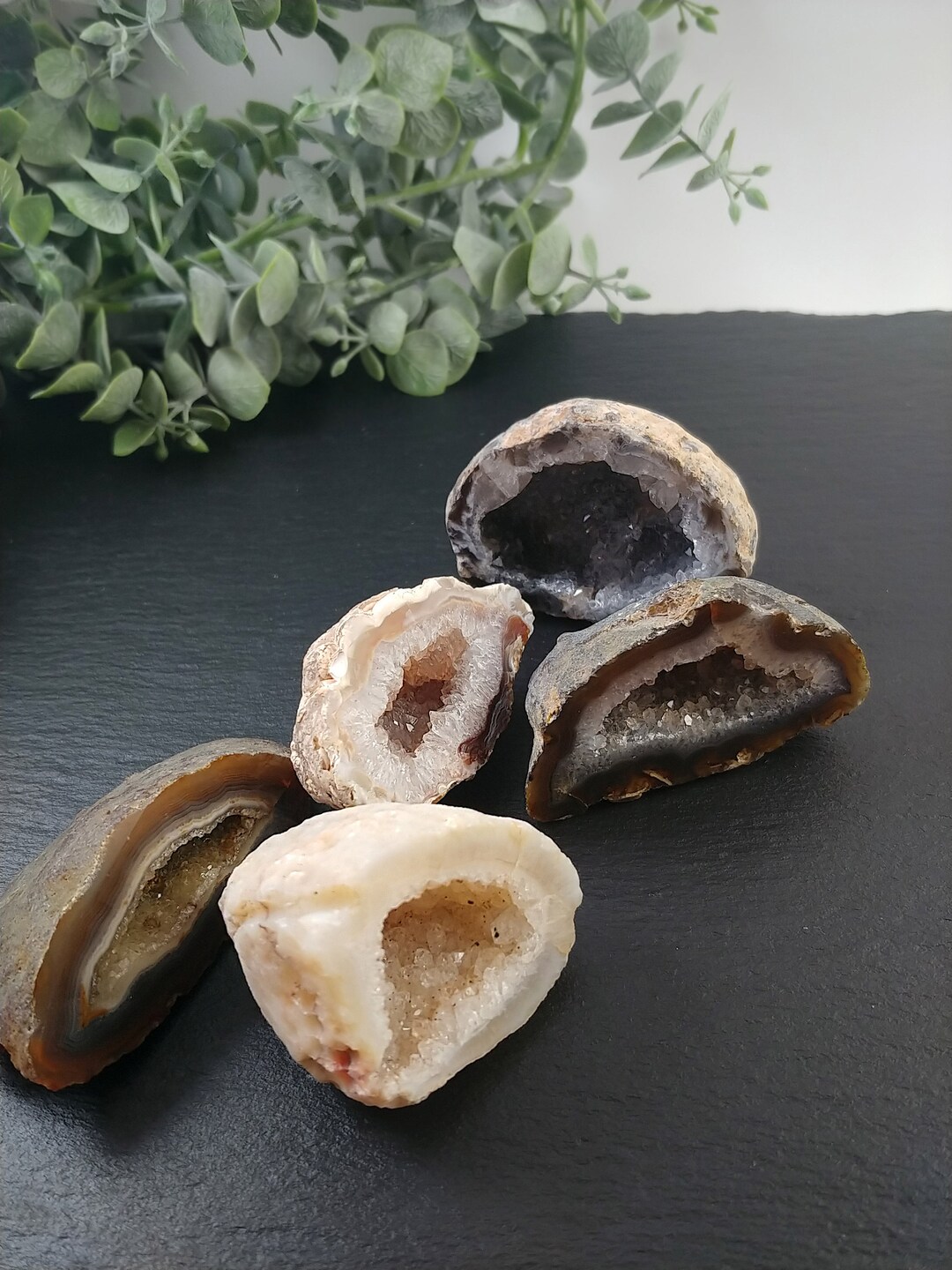 Small Polished Split Agate Geode Specimen Halves 2-3 - Etsy Canada
