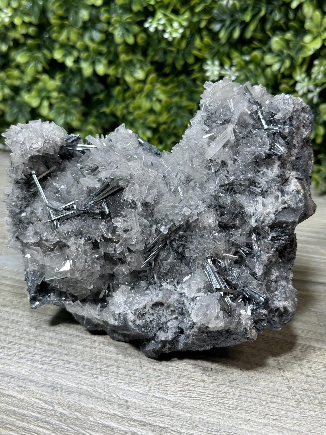 Slender Stibnite Crystals Emanating From Water-clear, Tabular Barite ...