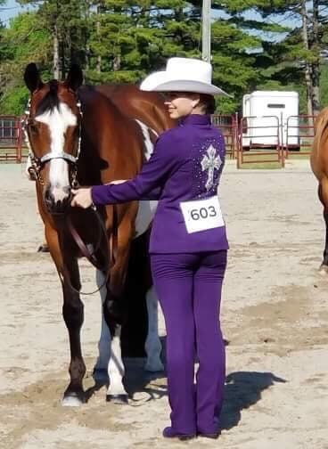 3110 PRINTED - Plus - Western Showmanship or Riding Pants by Show ...