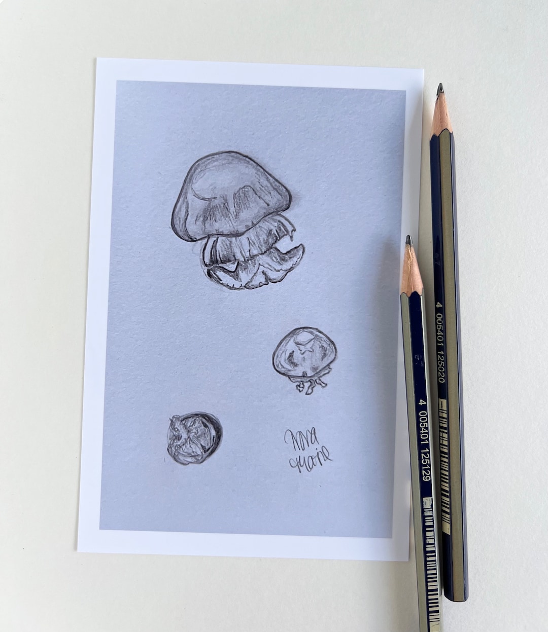 Moon Jellyfish Drawing-sketch Graphite 4x6 Art Print - Etsy