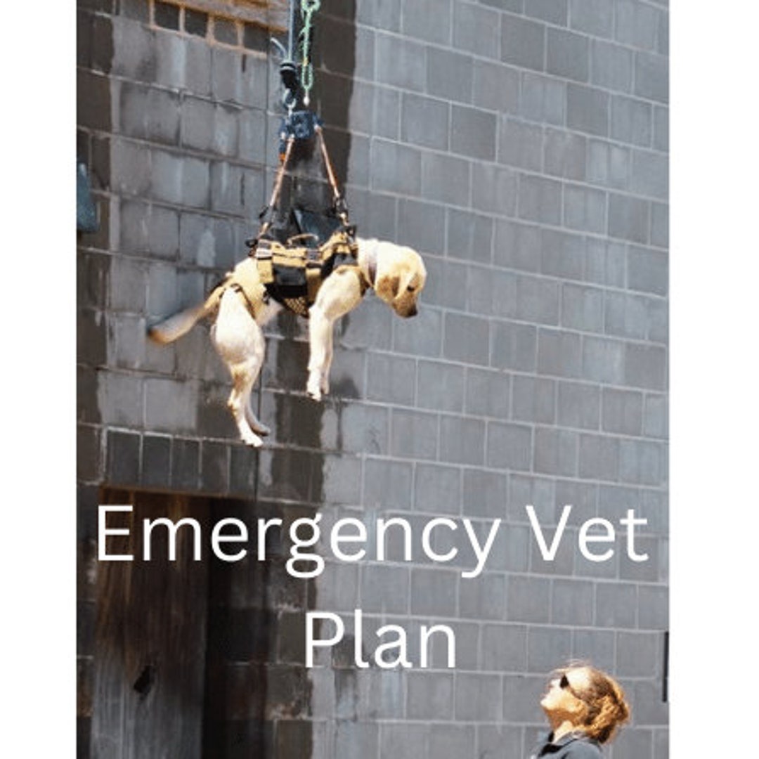 Working Dog Emergency Vet Plan - Etsy