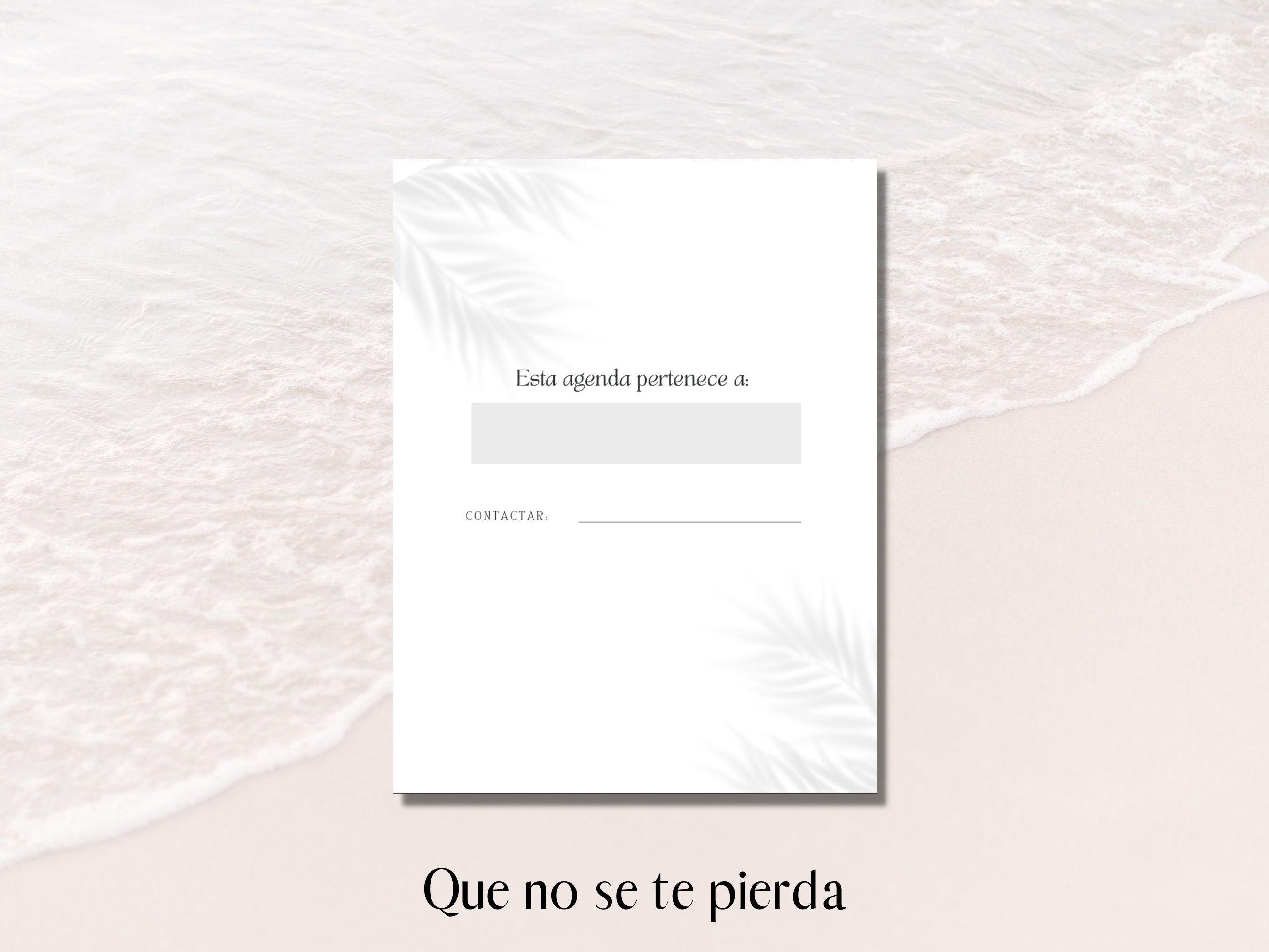 Minimalist Agenda, Agenda 2023 En Español, Planificador Diario ...