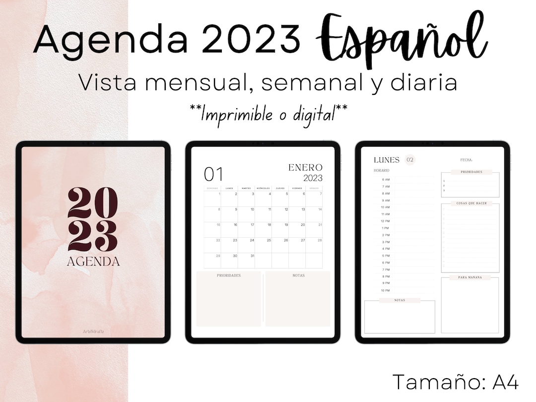 Agenda 2023 En Español, Planificador Diario, Printable Planner 2023 ...