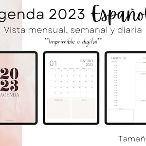Agenda 2023 En Español, Planificador Diario, Printable Planner 2023 ...