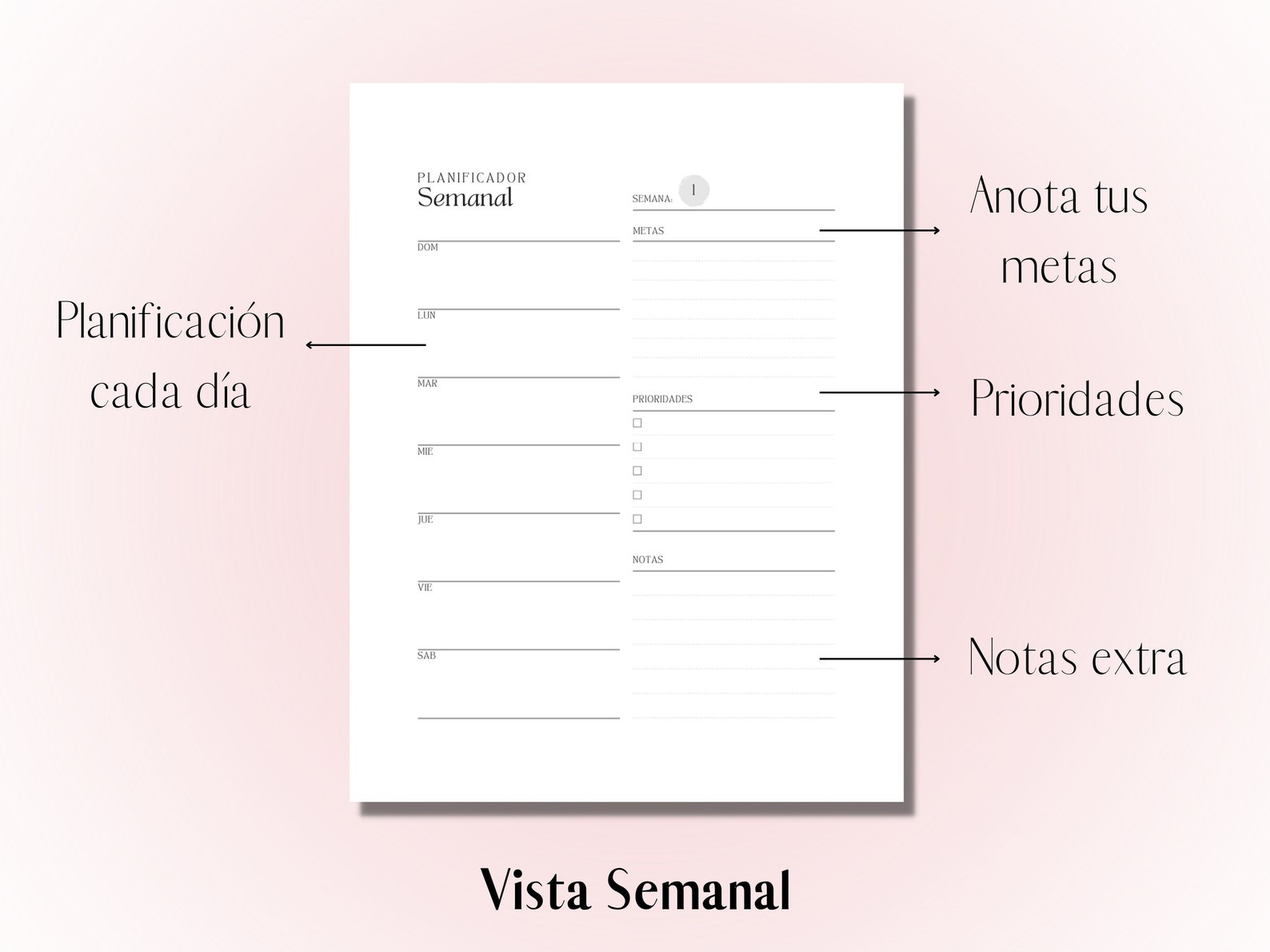 Spanish 2024 Printable Agenda: Daily & Weekly Planner (PDF) - Etsy