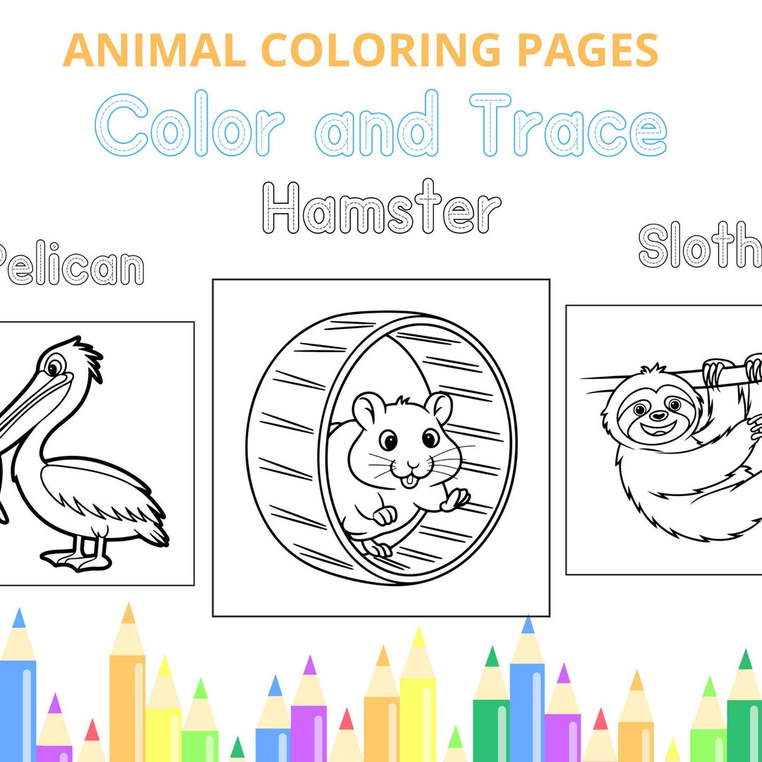 Animals Color and Trace Coloring Pages - Etsy