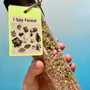 I Spy Forest Sensory Bottle - Etsy