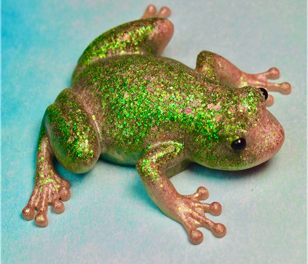 Lifelike Silicone Frog Squishy - Etsy