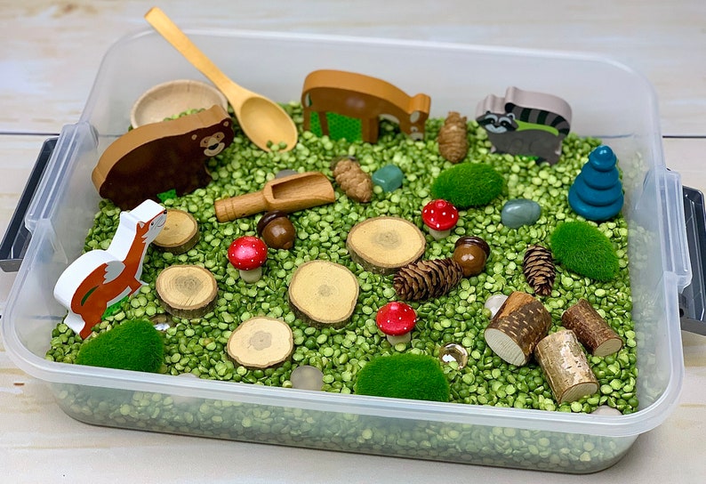 Woodland Animals Sensory Bin - Etsy