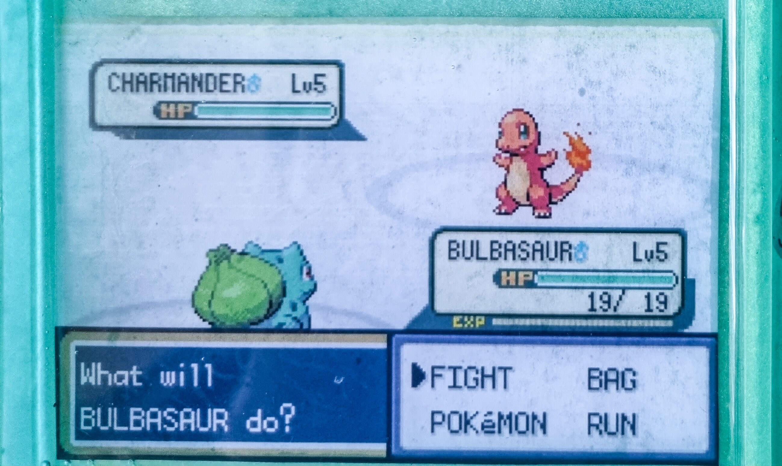 Custom Pokemon Trays Evolution or Gameboy Style Designs - Etsy