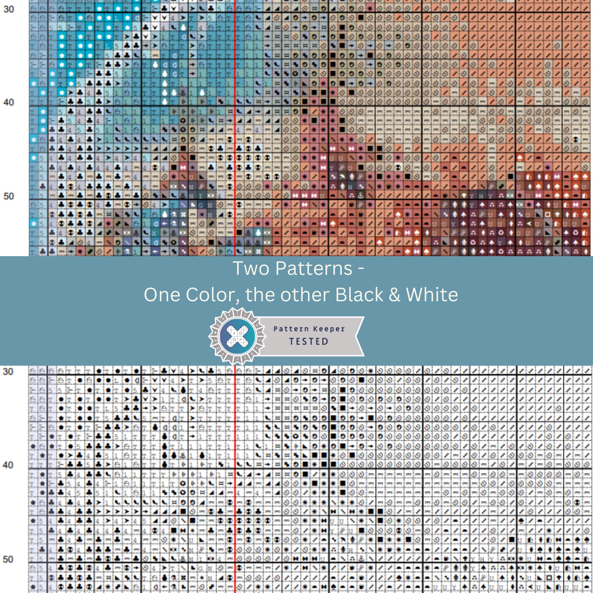 Sunken Library - Digital Download PDF Cross Stitch Pattern - Etsy