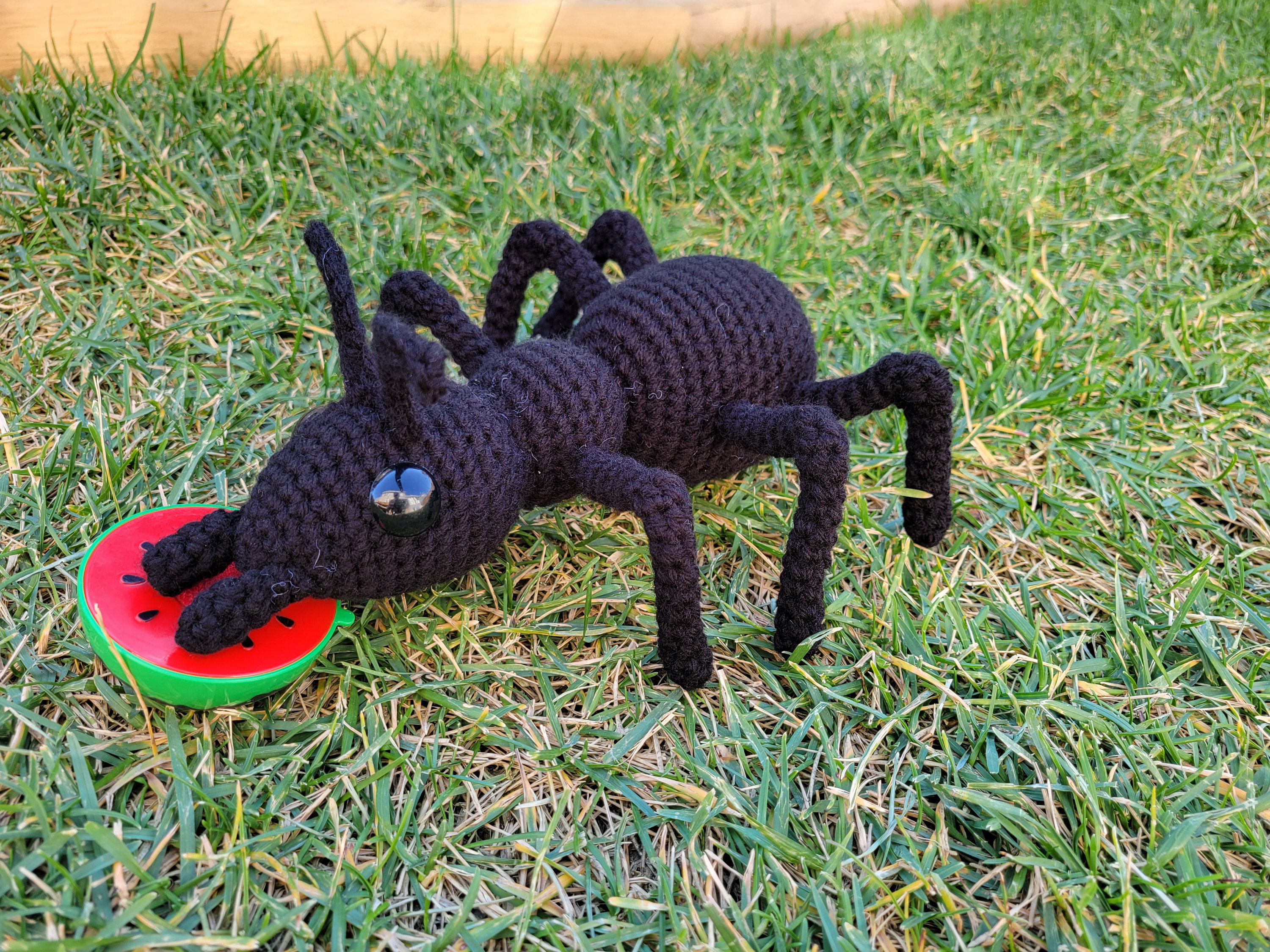Ant Amigurumi Toy Crochet Pattern Crochet Ant Ant Toy - Etsy