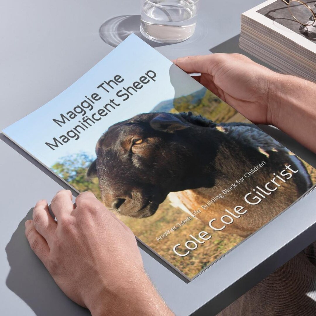 Children&#039;s Book Maggie the Magnificent Sheep - Etsy