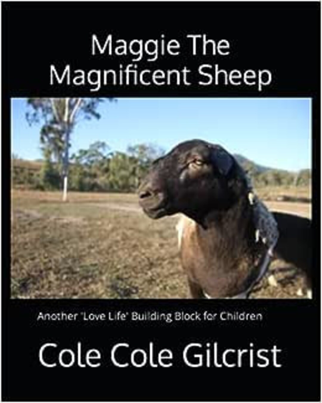 Children&#039;s Book Maggie the Magnificent Sheep - Etsy