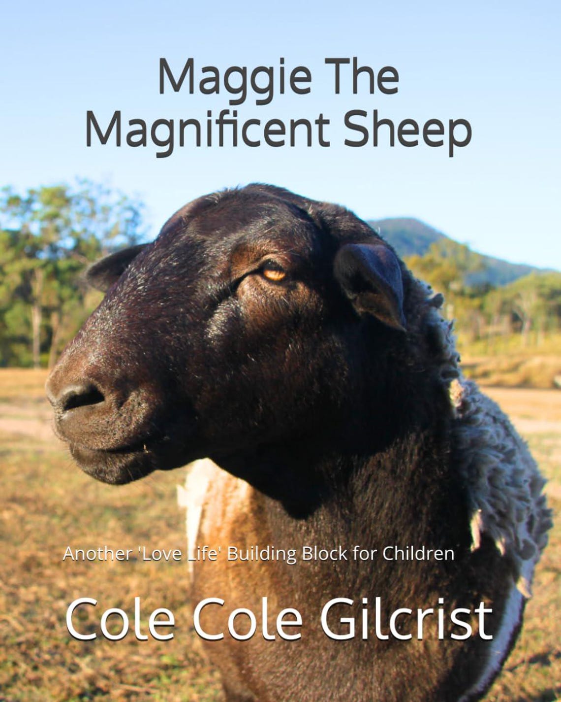 Children's Book Maggie the Magnificent Sheep - Etsy