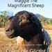 Children's Book Maggie the Magnificent Sheep - Etsy