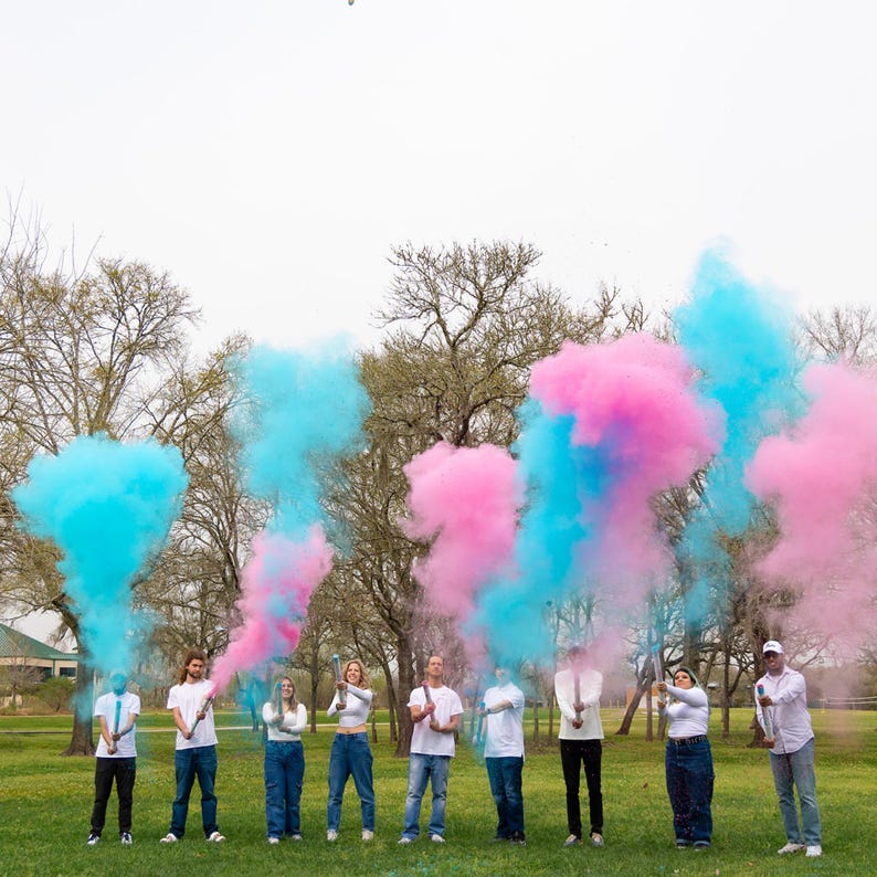 Gender Reveal Powder Cannons 2 Pc Pink and Blue Gender Reveal Powder ...