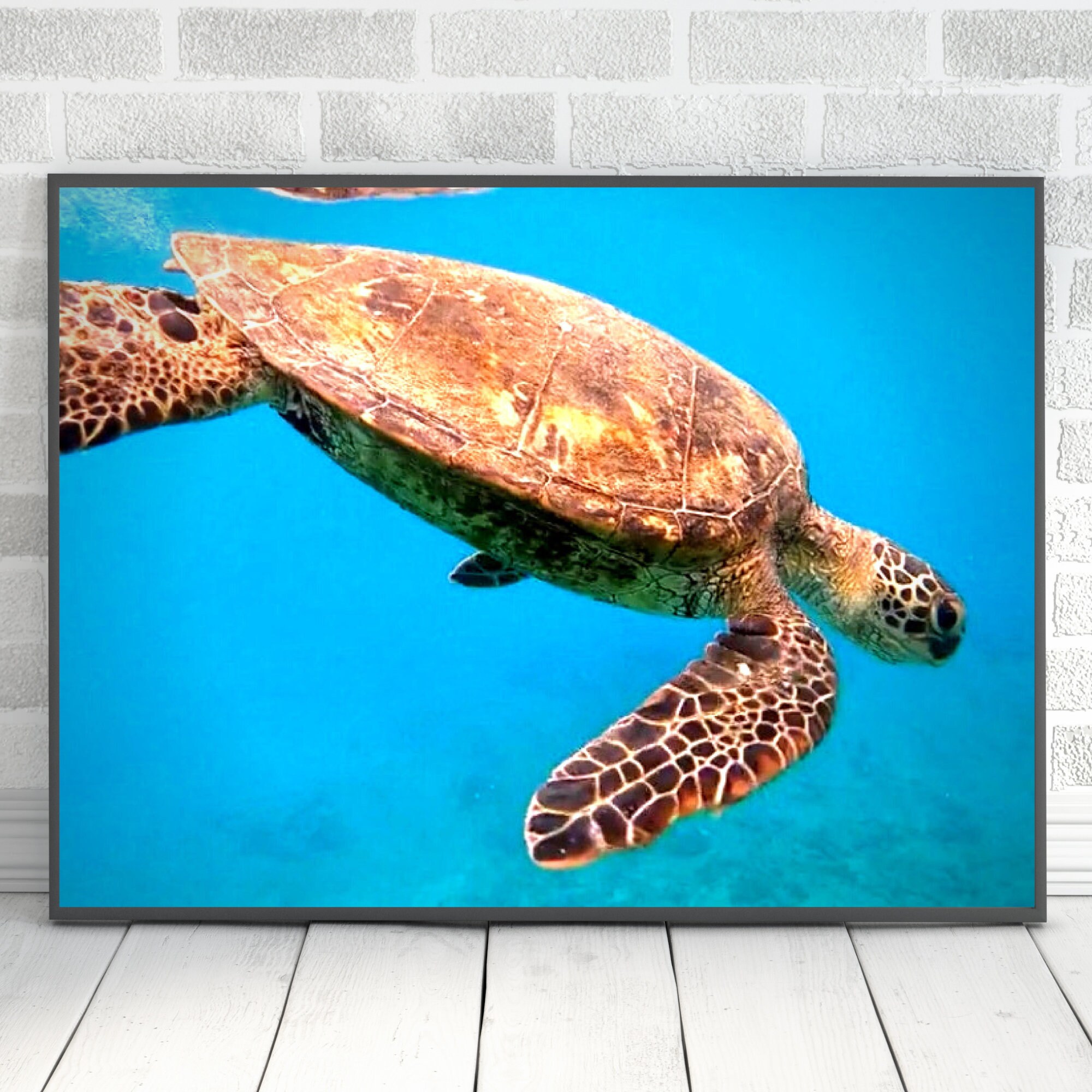 Sea Turtle Digital Download Photography Instant Printable Art Ocean ...