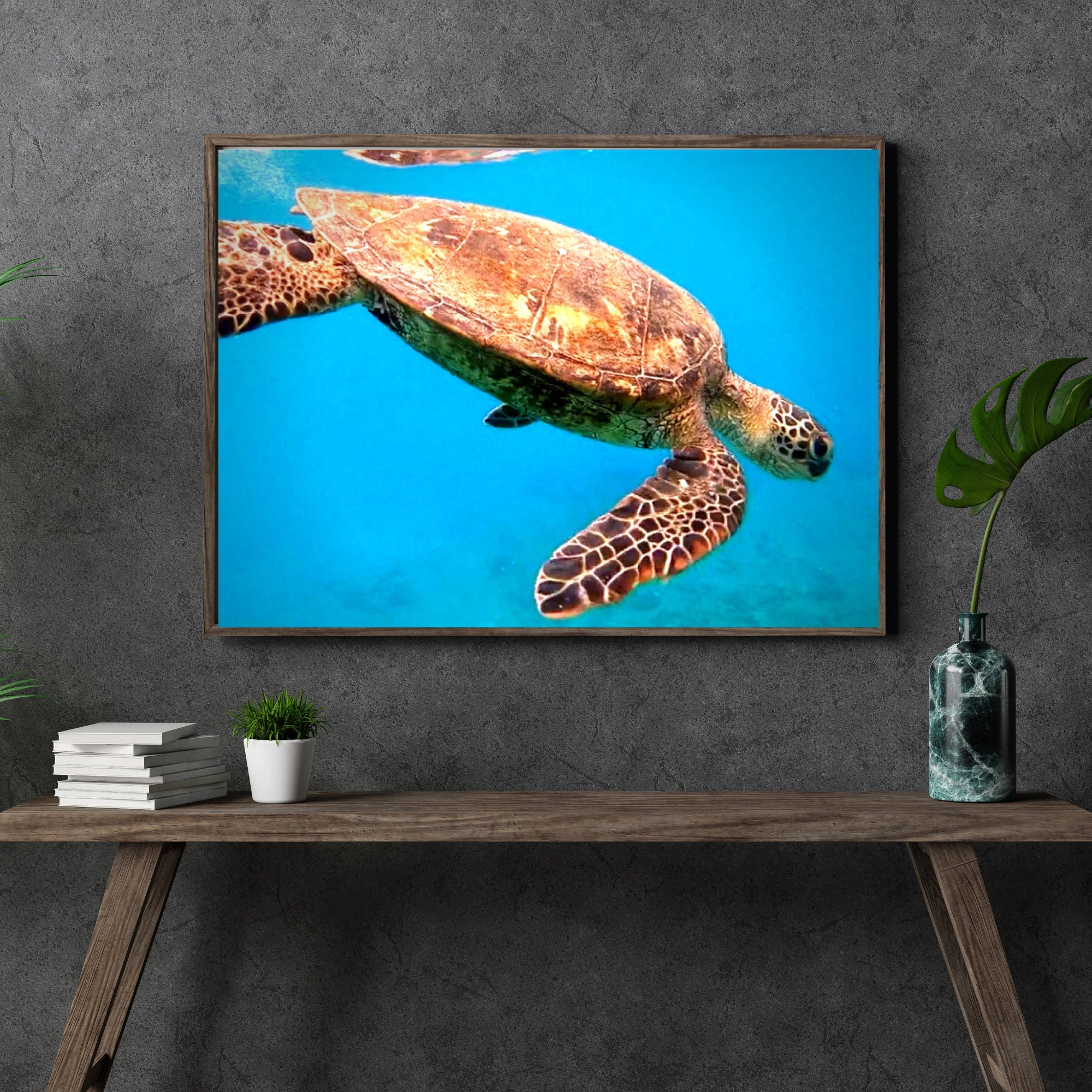 Sea Turtle Digital Download Photography Instant Printable Art Ocean ...