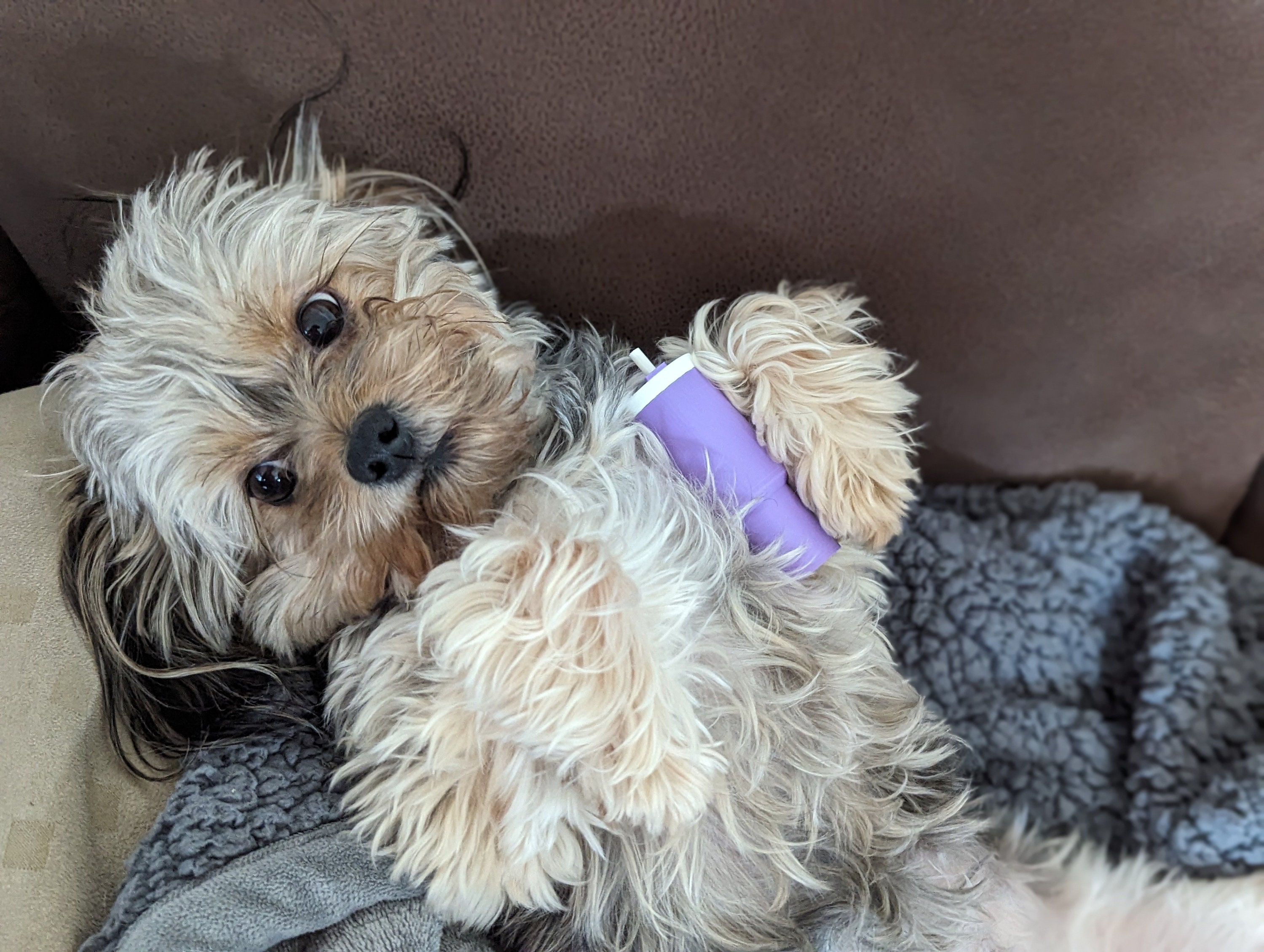 Very Cute Stanley Tumbler Style Keychain With Removable Lid - Etsy