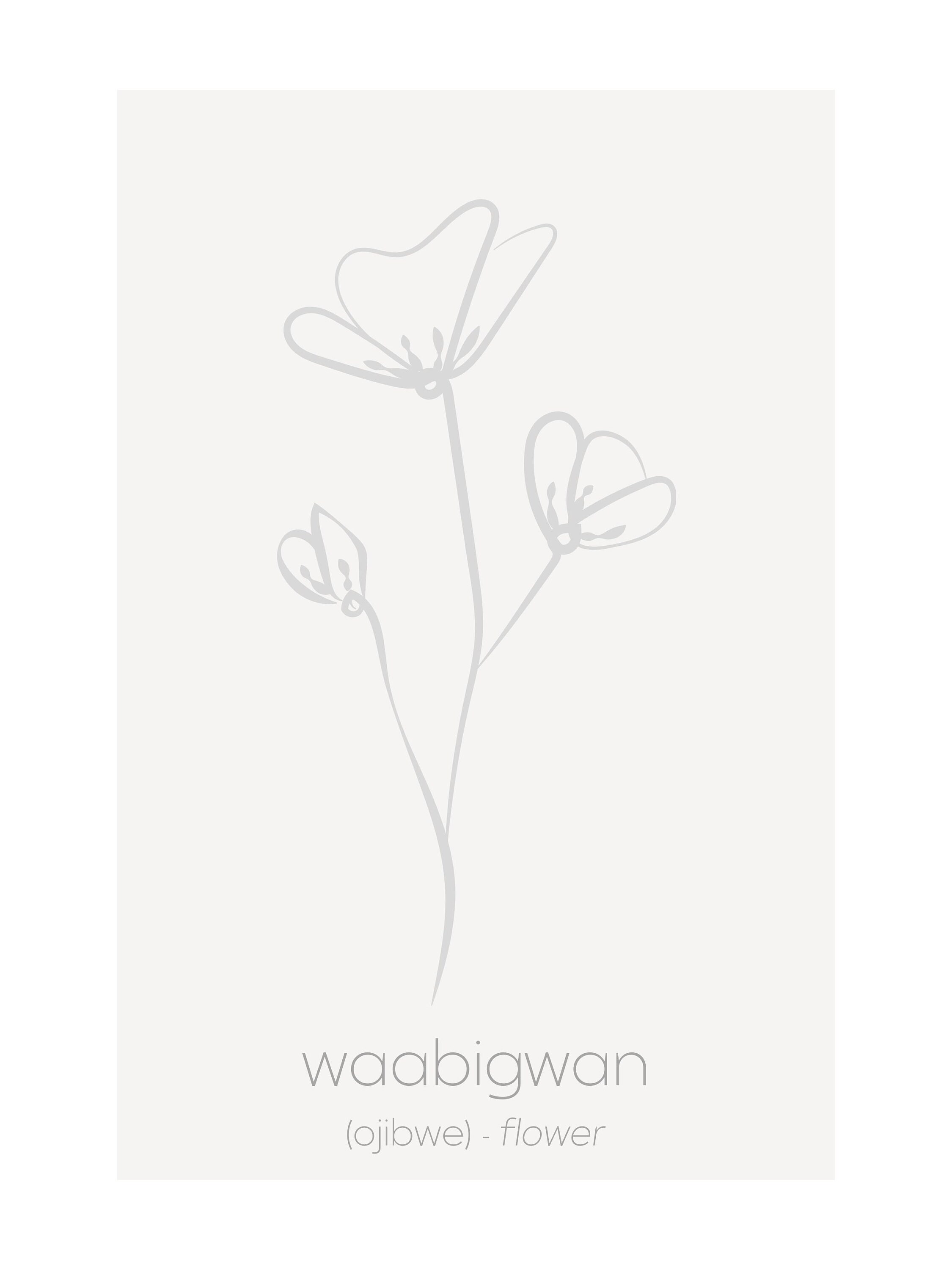 Minimalist Ojibwe Plants and Trees Art Print Set of 4 - Digital ...