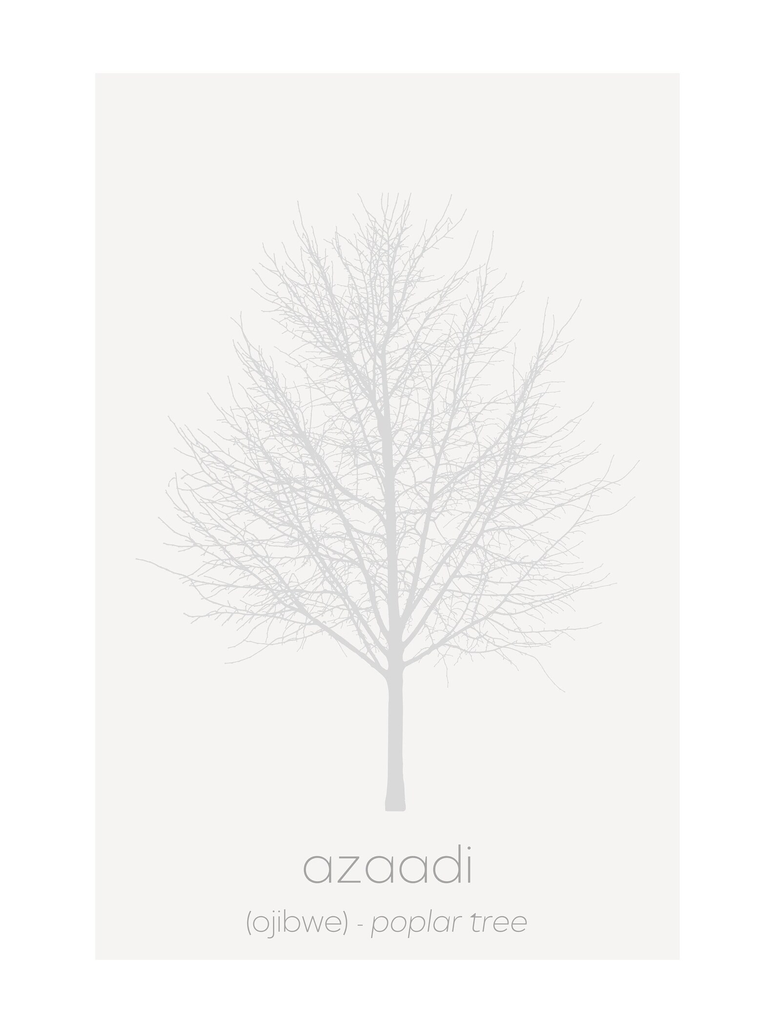 Minimalist Ojibwe Plants and Trees Art Print Set of 4 - Digital ...