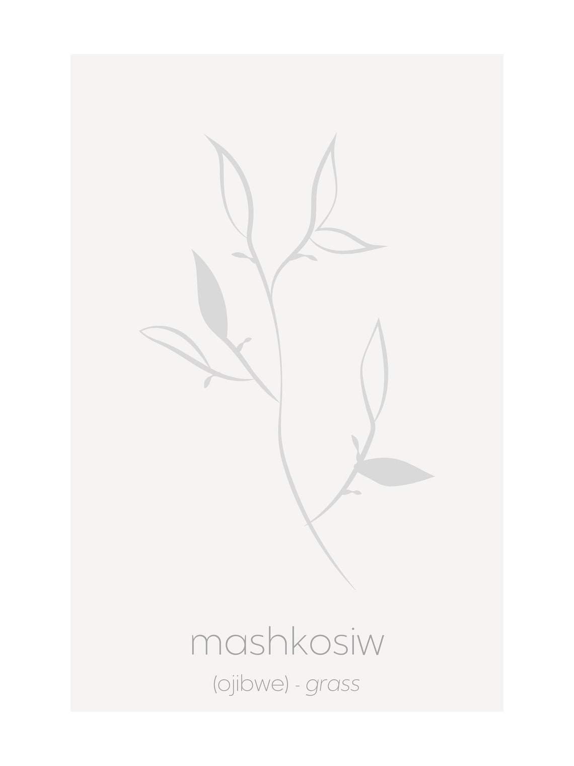 Minimalist Ojibwe Plants and Trees Art Print Set of 4 - Digital ...