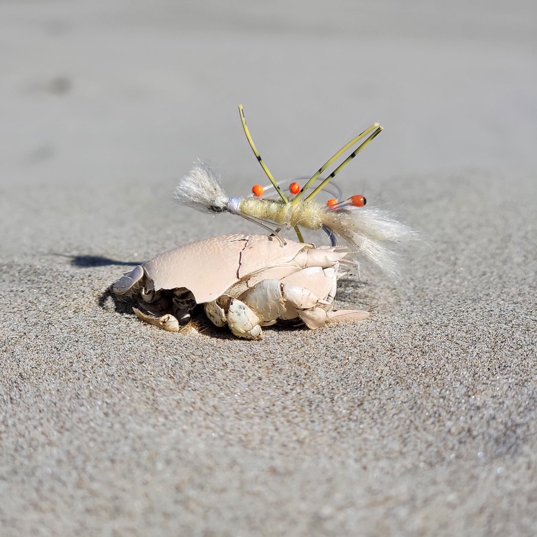 Sand Prawn Size 2/0 - Etsy
