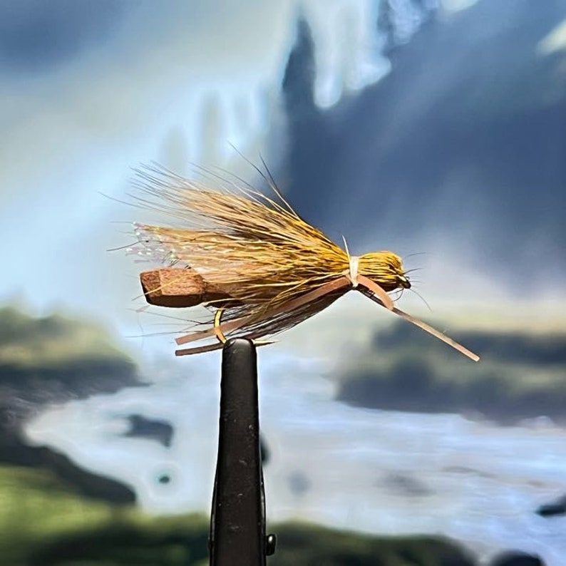 Rogue Foam Stone Golden - (pack of 3) - Etsy