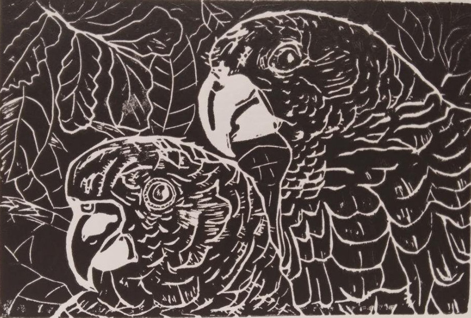 Parrot Pair Print, 4x6 Print, Original Linocut Print, Animal Art ...