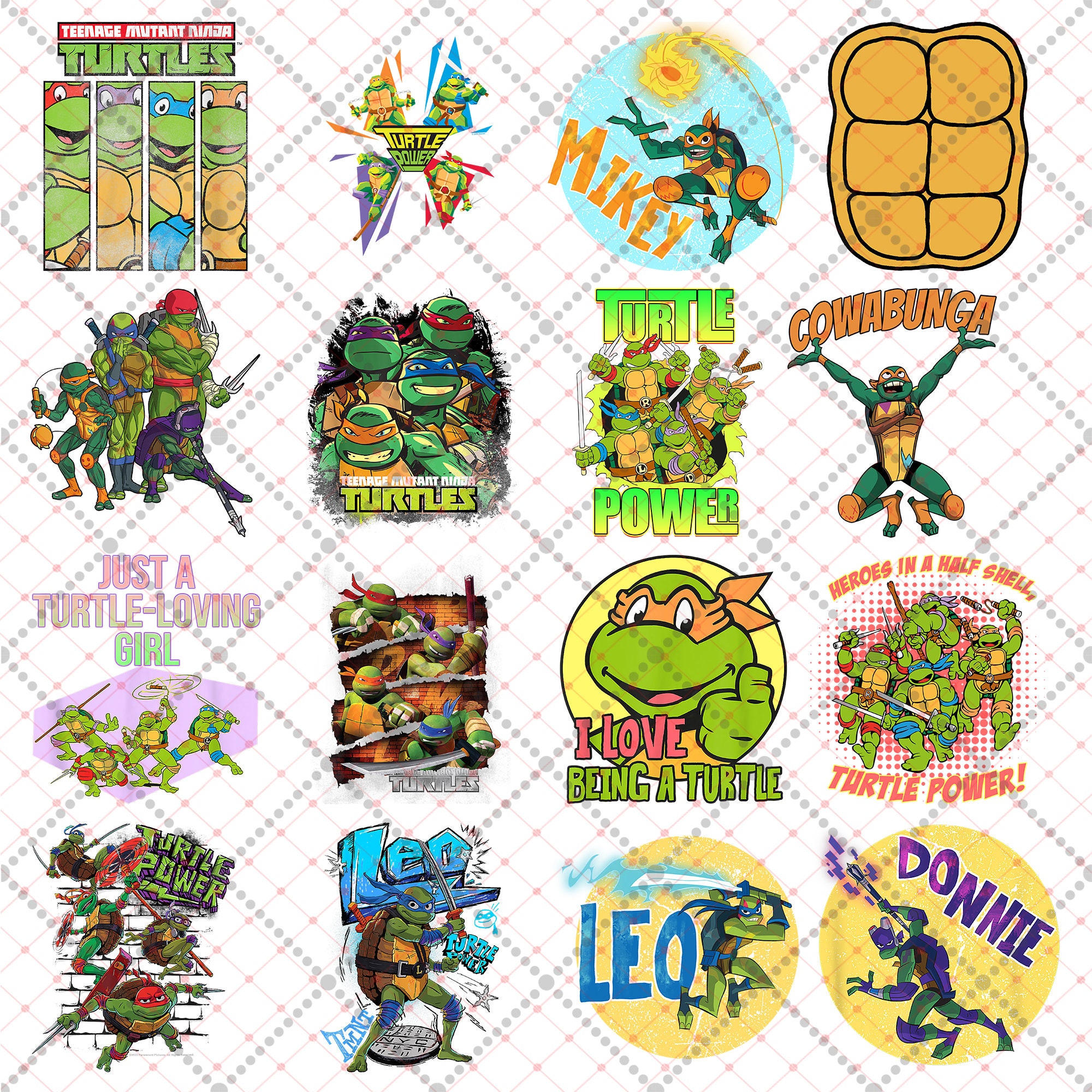 Ninja Turtle Shell Truck