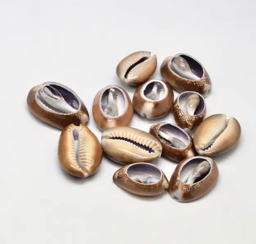 Brown Cowrie Shell Waist Beads-belly Chain-protection - Etsy