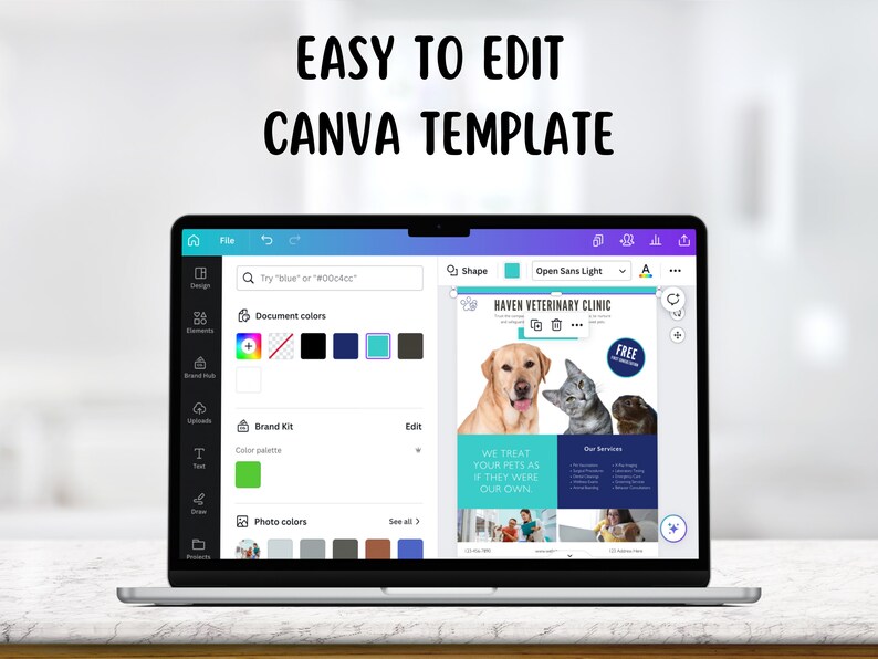 Pet Veterinary Flyer DIY Canva Pet Veterinary Flyer Template - Etsy
