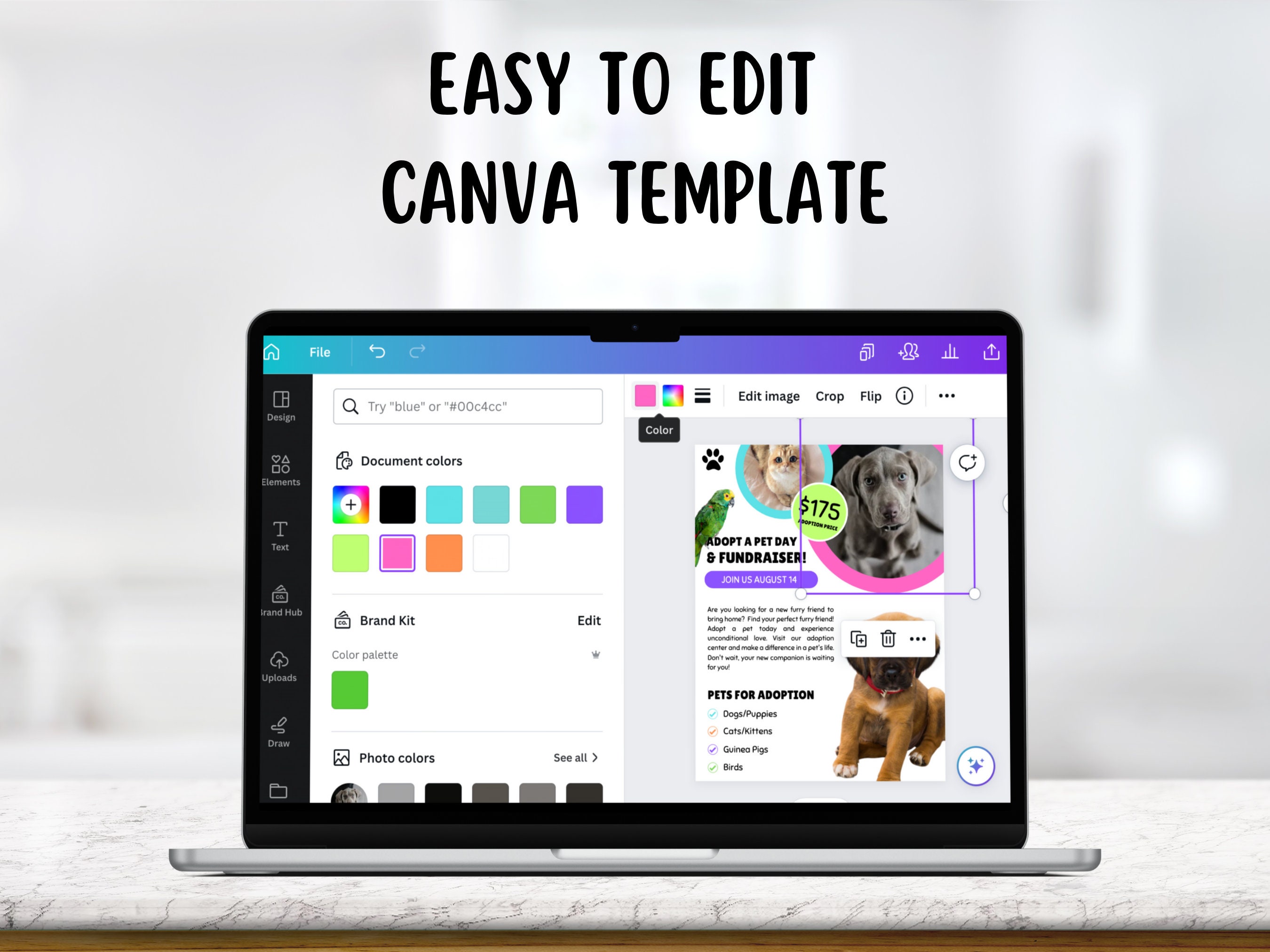 Pet Adoption Flyer, DIY Canva Pet Adoption Flyer, Editable Canva ...