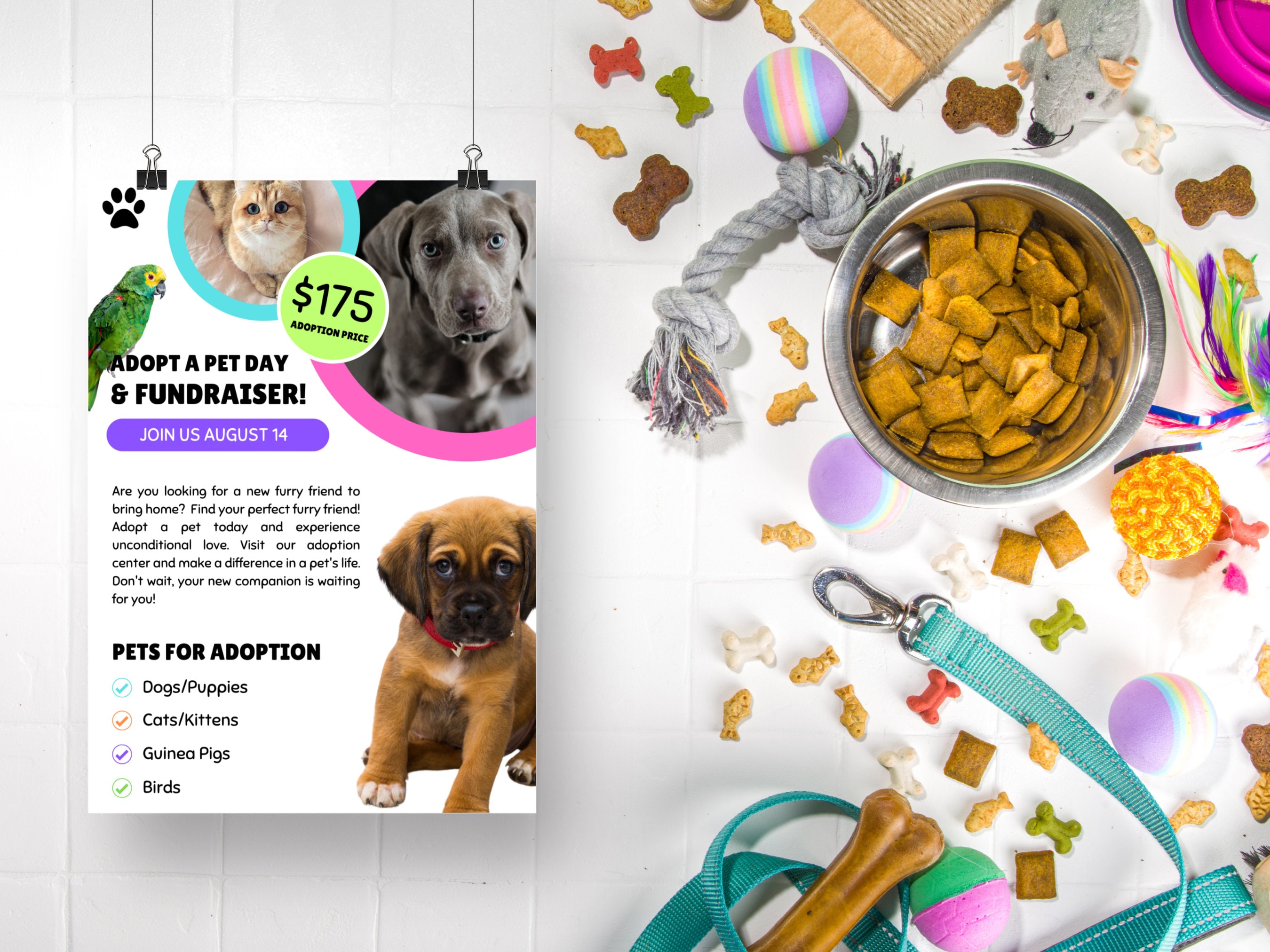 Pet Adoption Flyer, DIY Canva Pet Adoption Flyer, Editable Canva ...