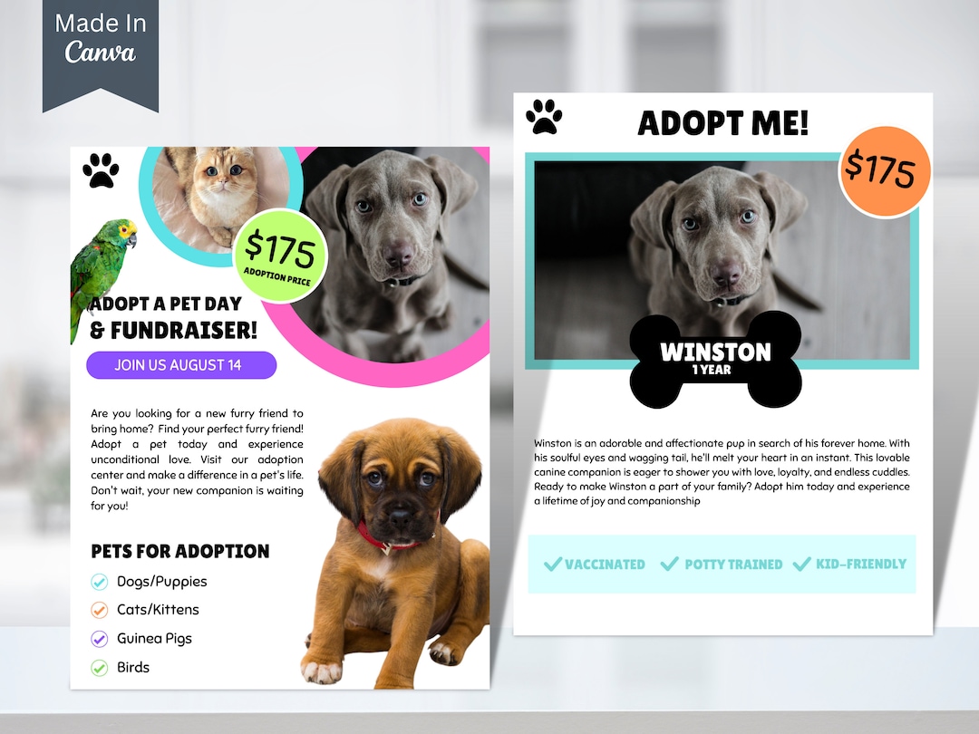 Pet Adoption Flyer, DIY Canva Pet Adoption Flyer, Editable Canva ...