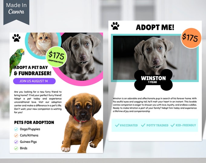 Pet Adoption Flyer, DIY Canva Pet Adoption Flyer, Editable Canva ...