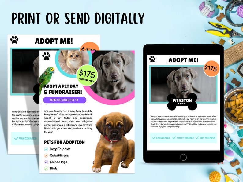 Pet Adoption Flyer, DIY Canva Pet Adoption Flyer, Editable Canva ...