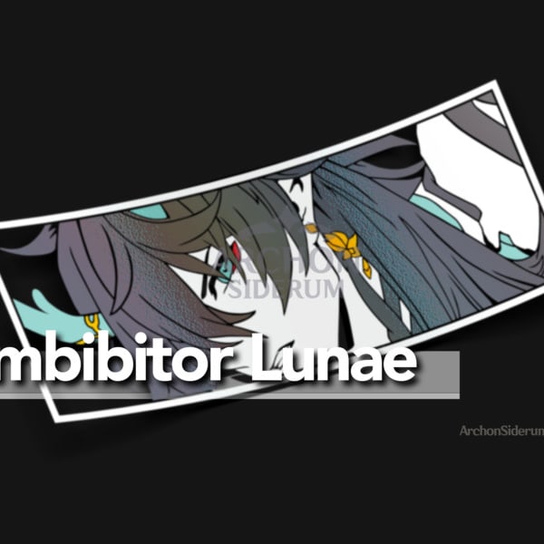 Dan Heng Stickers - Etsy