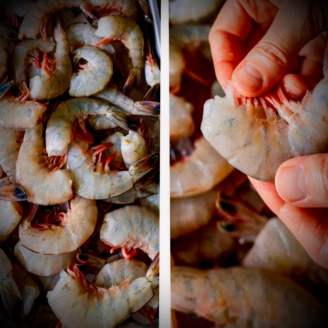 Big Juicy Dehydrated Shrimp Prawns|seafood Dog Treats|cat Treats ...