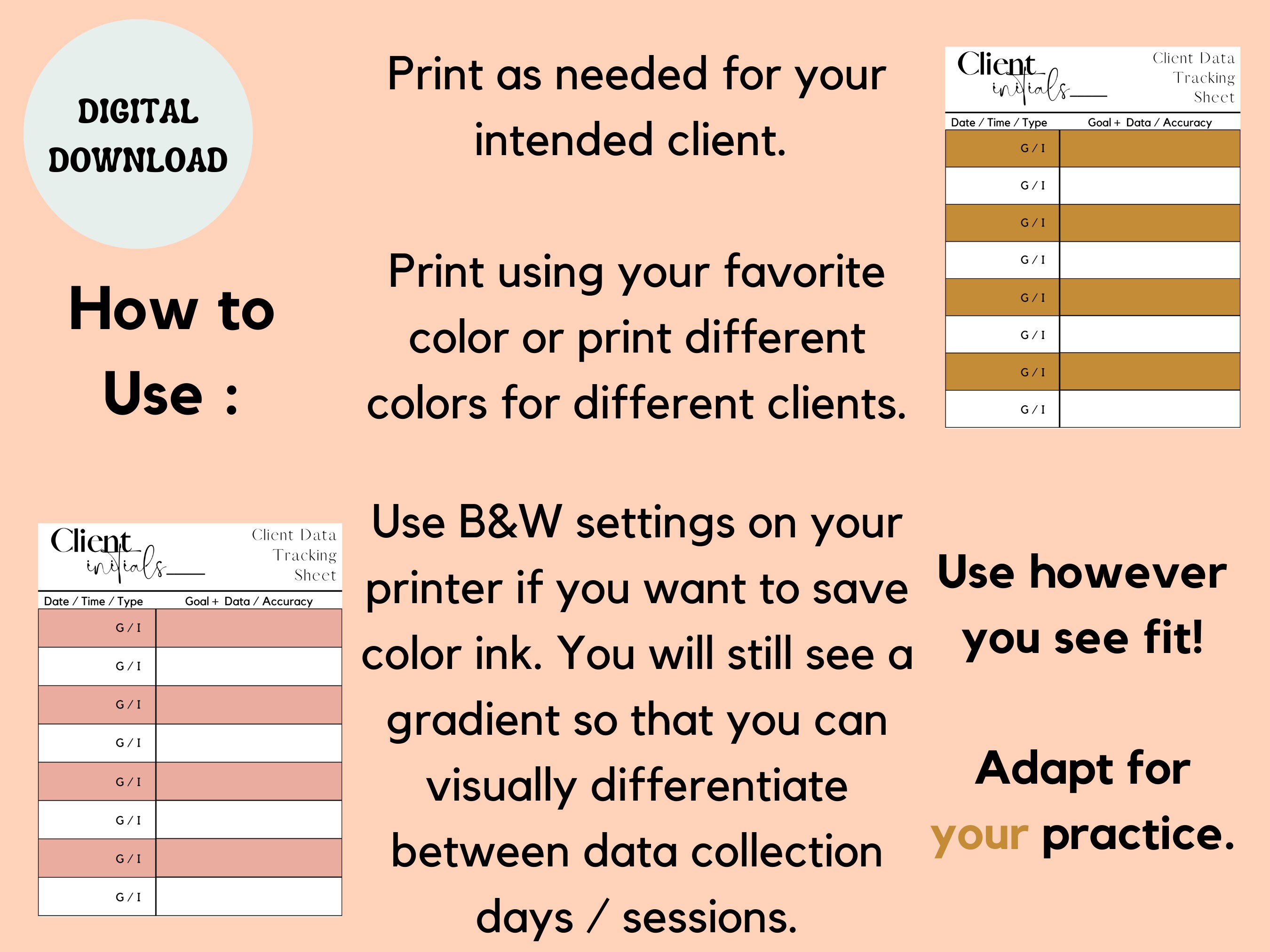 Client Data Sheet // Data Tracking Sheet // Progress Monitoring ...