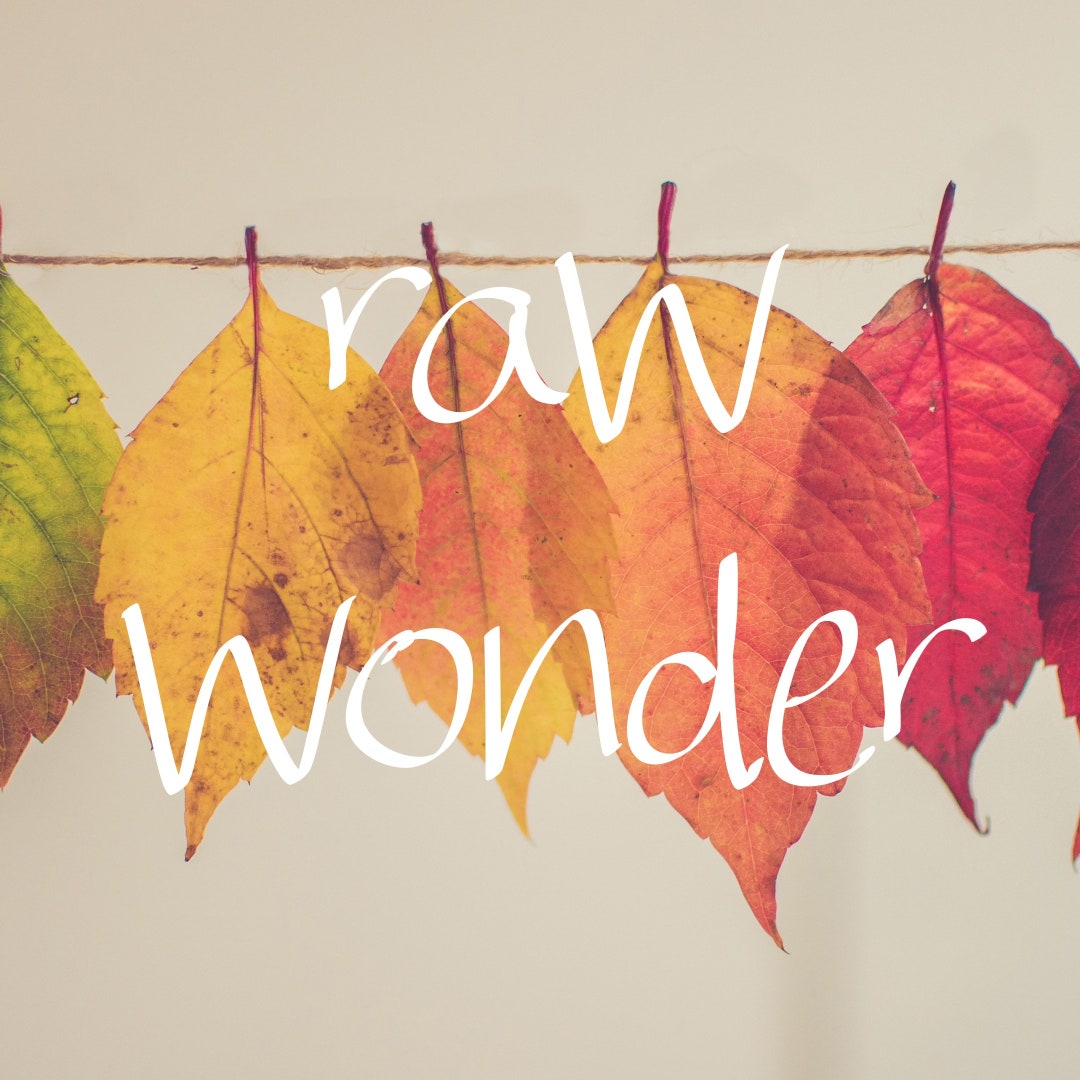 Raw Wonder Font - Instant Download - Handwritten Font for Classroom ...