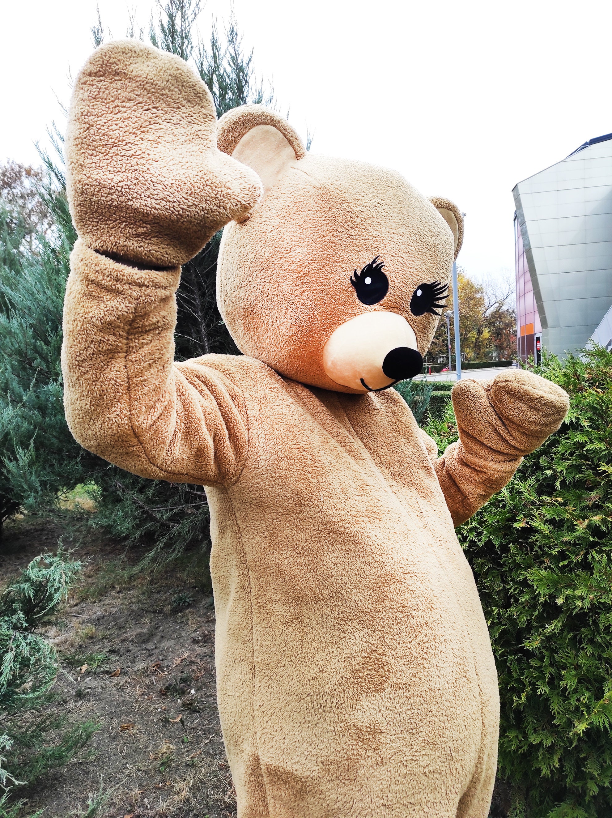 Teddy Bear Mascot Costume, Adult Mascot Costume, Party Mascot Costume ...