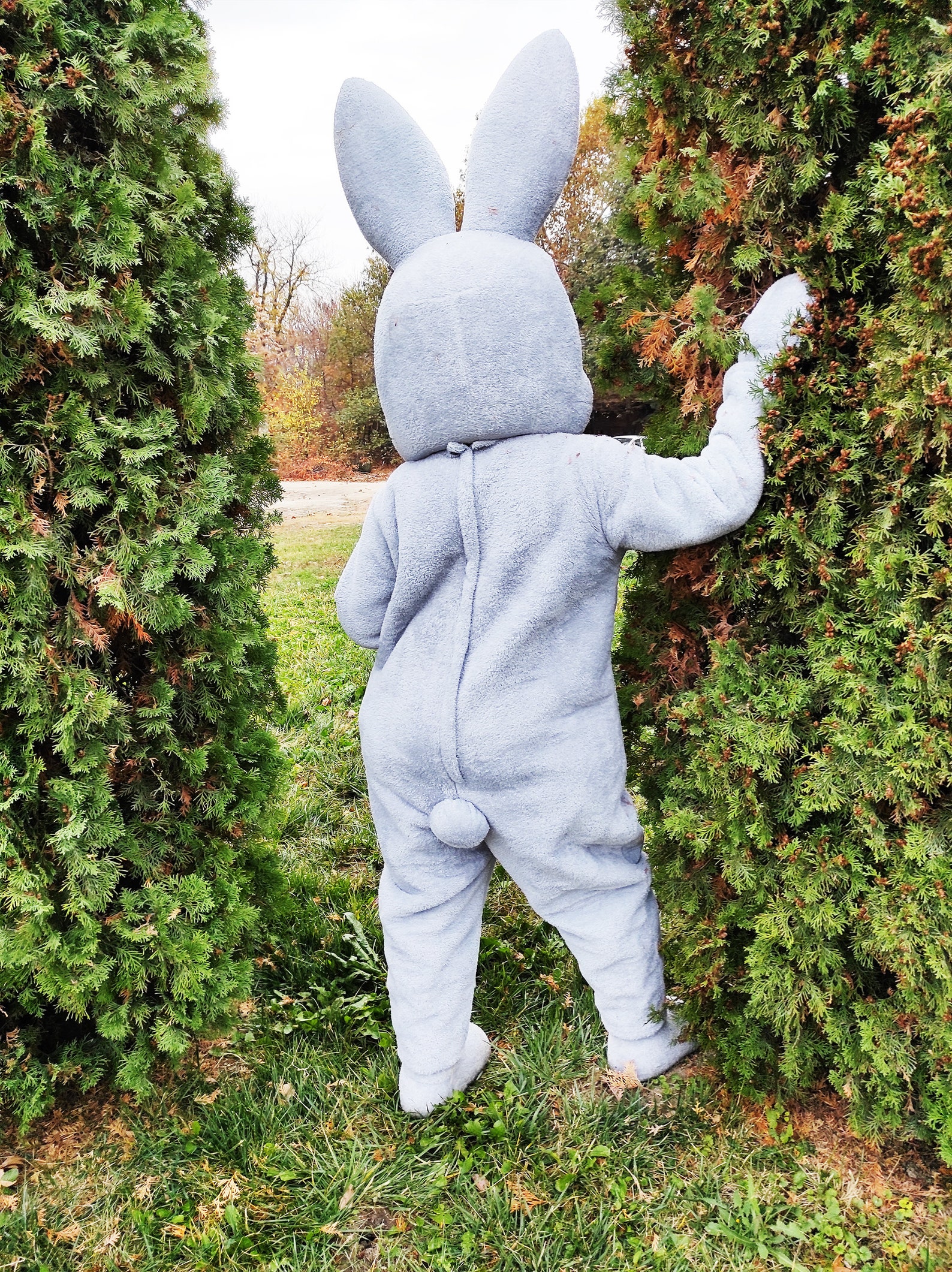 Easter Bunny Mascot Costume Adult Mascot Costume Party - Etsy
