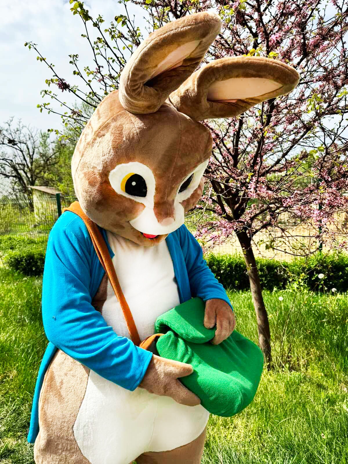 Bunny Pit Mascot Costume, Adult Mascot Costume, Party Mascot Costume ...